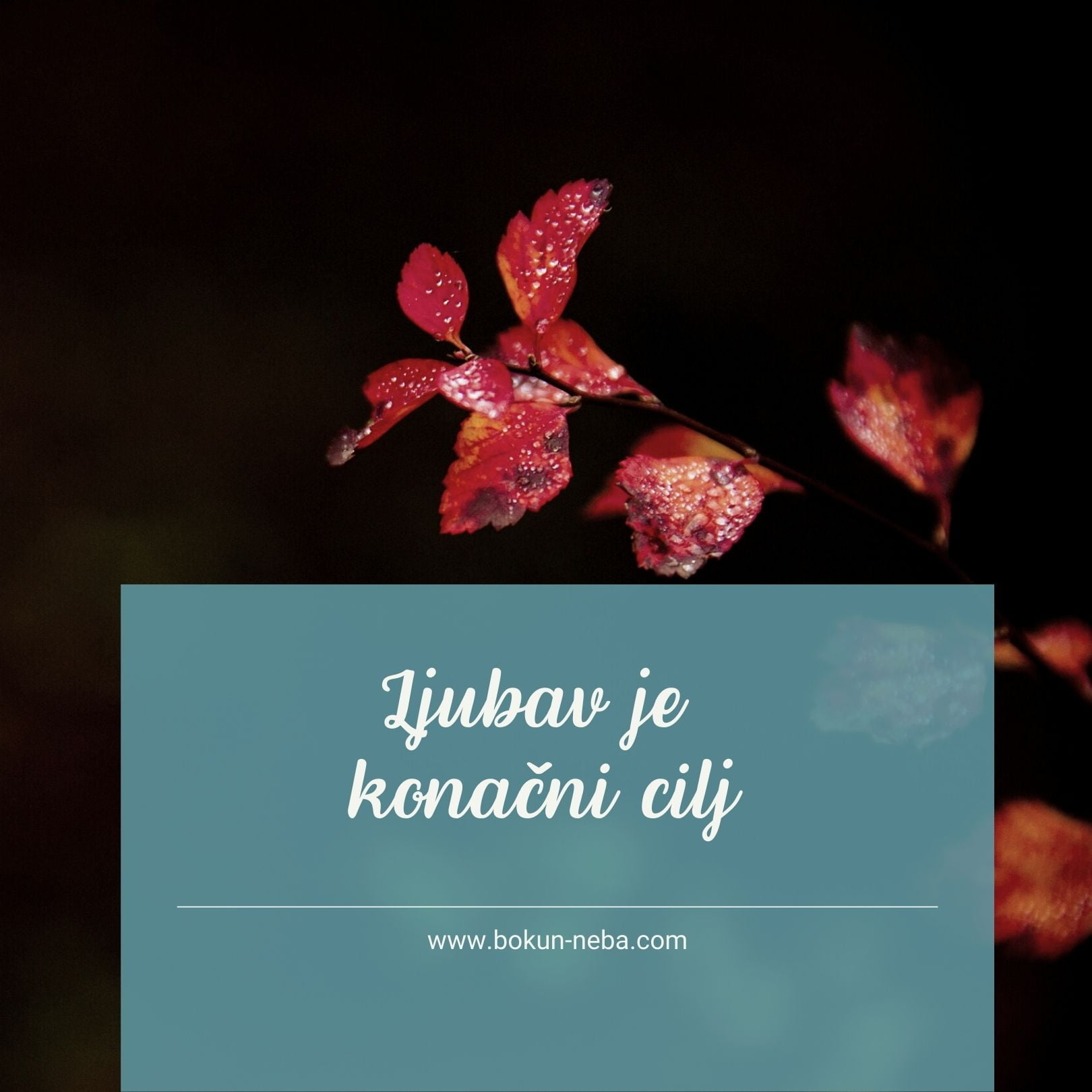 Ljubav je konačni cilj | Obiteljski centar Bokun Neba